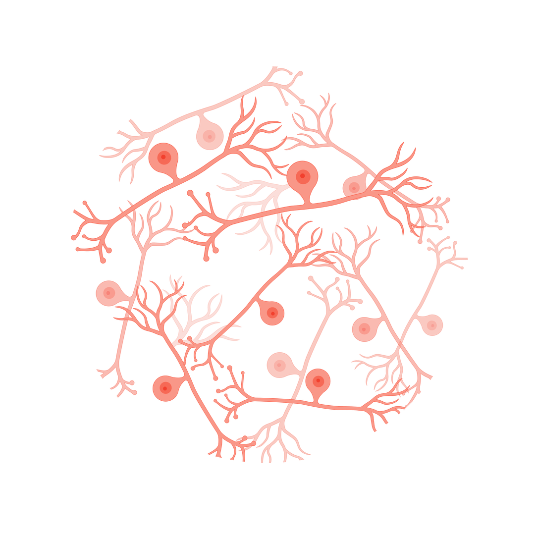 Multimodal Cellular Analysis | Cellanome